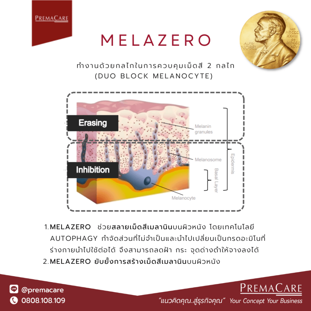 สุดยอดสารไวท์เทนนิ่งเพื่อสีผิวสม่ำเสมอ Melazero