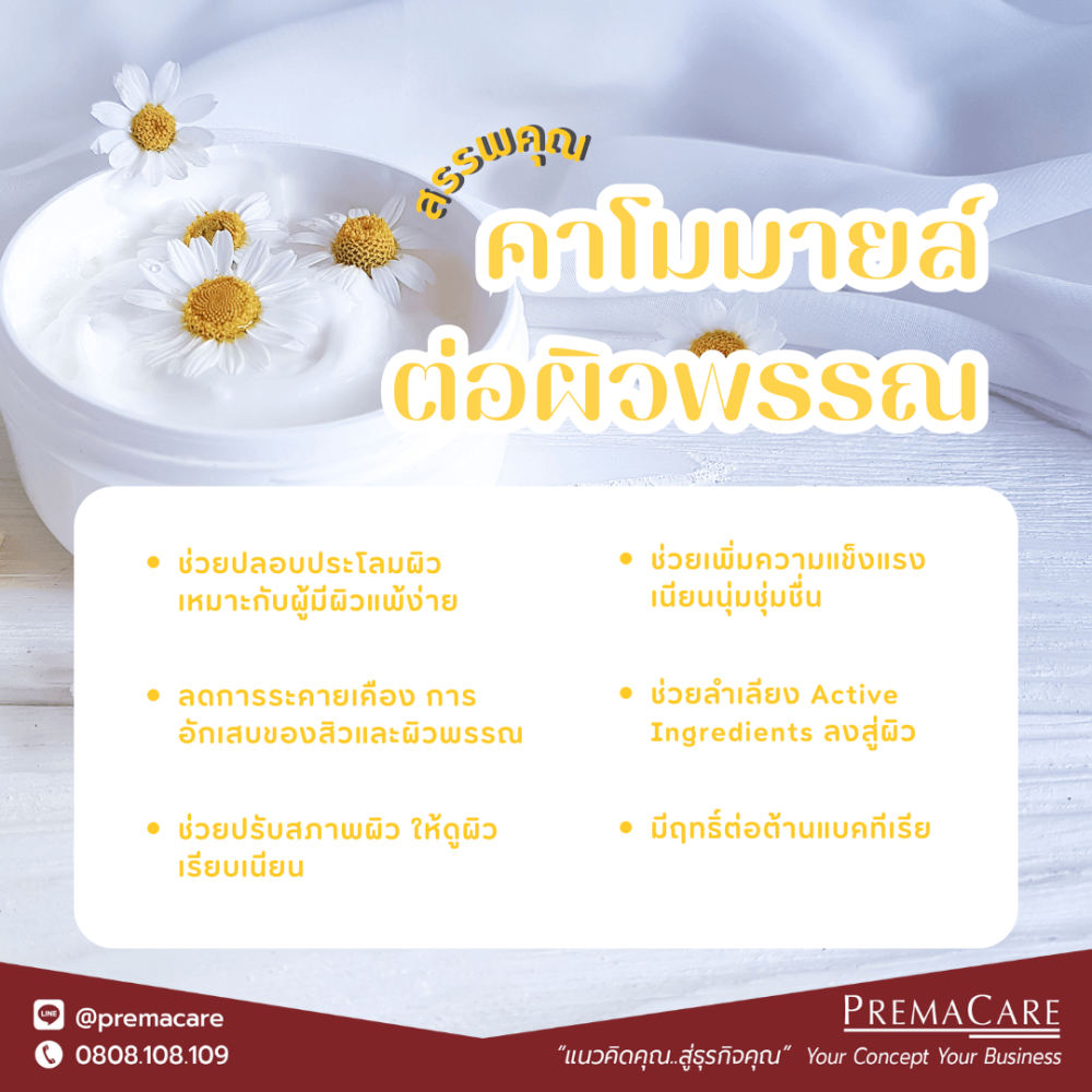 สรรพคุณและประโยชน์ สารสกัดจากดอกคาโมมายล์ Anthemis nobilis flower extract